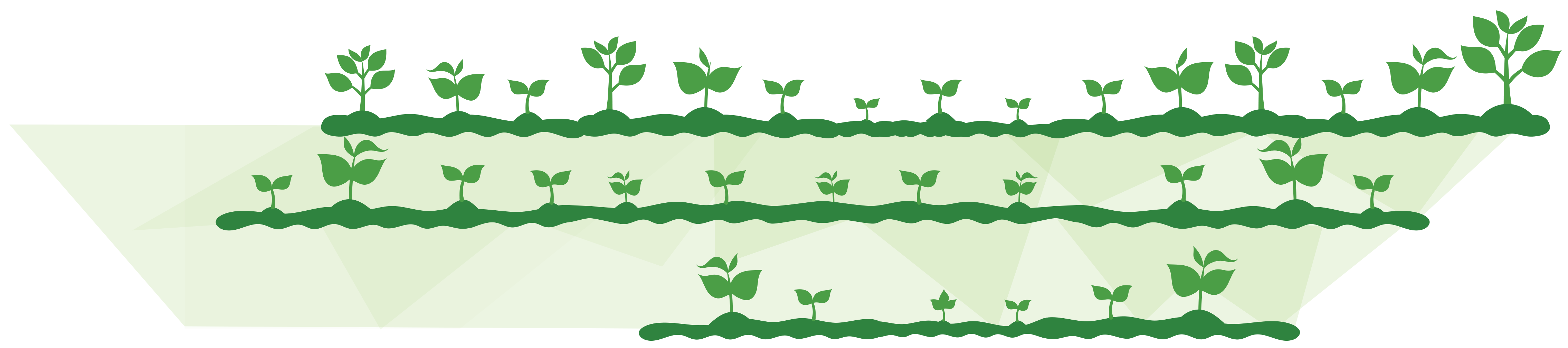 Quality + Fresh = Healthy - OK Produce, Fresno CA