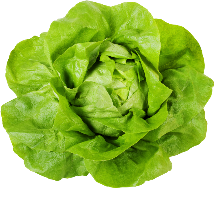 Connect With OK Produce - OK Produce, Fresno CA